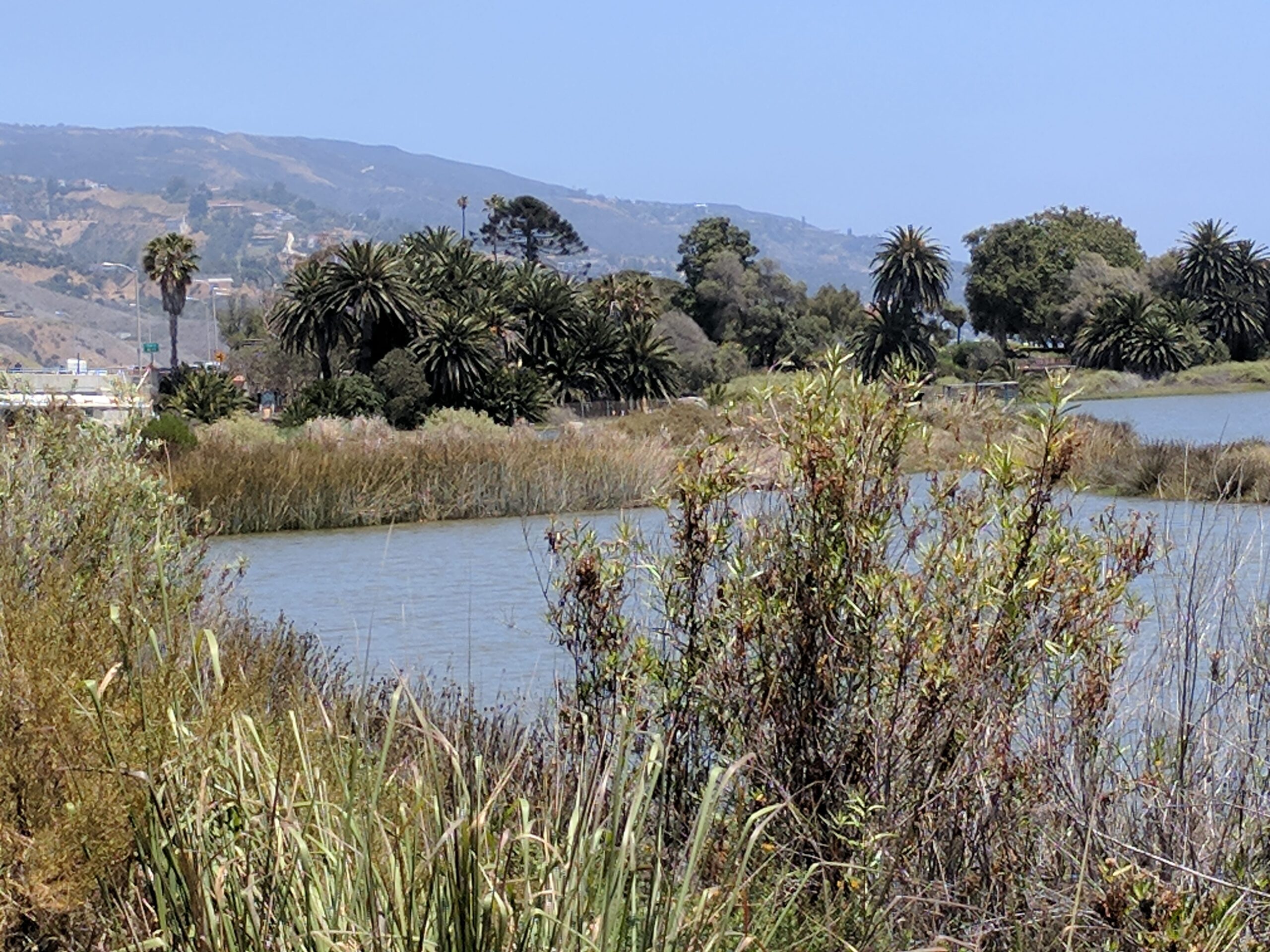 CalTrout tours Rindge Dam in Malibu Canyon | California Trout