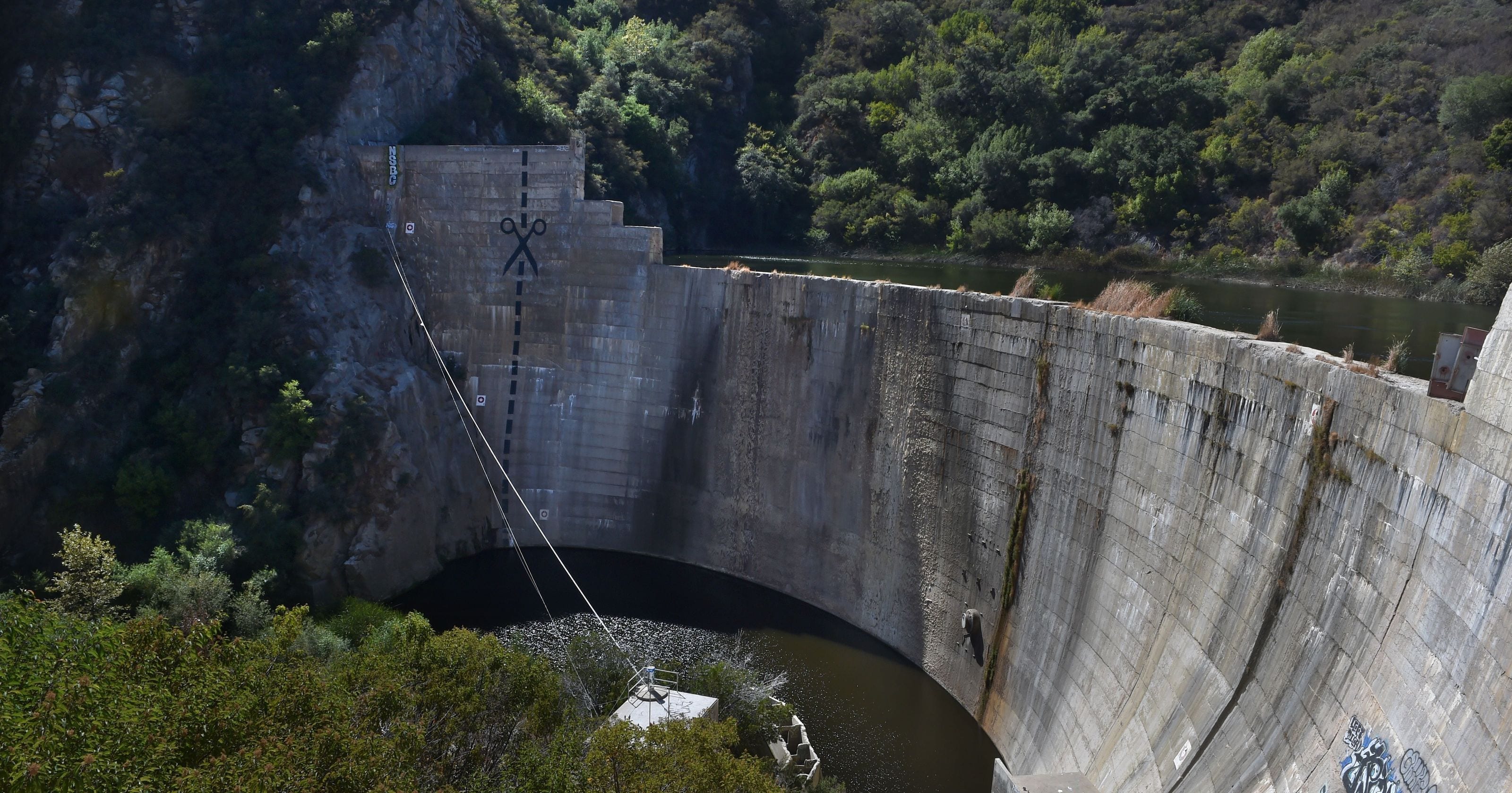 Native Species | California Trout