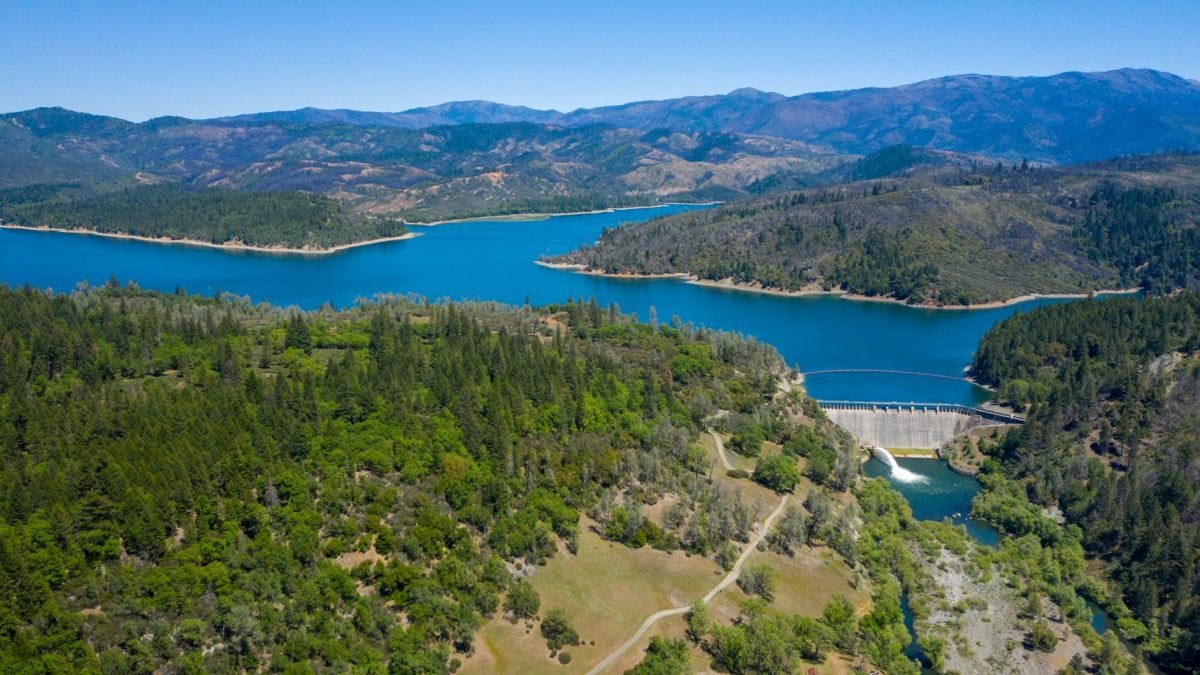 Trout Clout: Tell FERC to Remove Scott Dam and Restore the Eel River ...