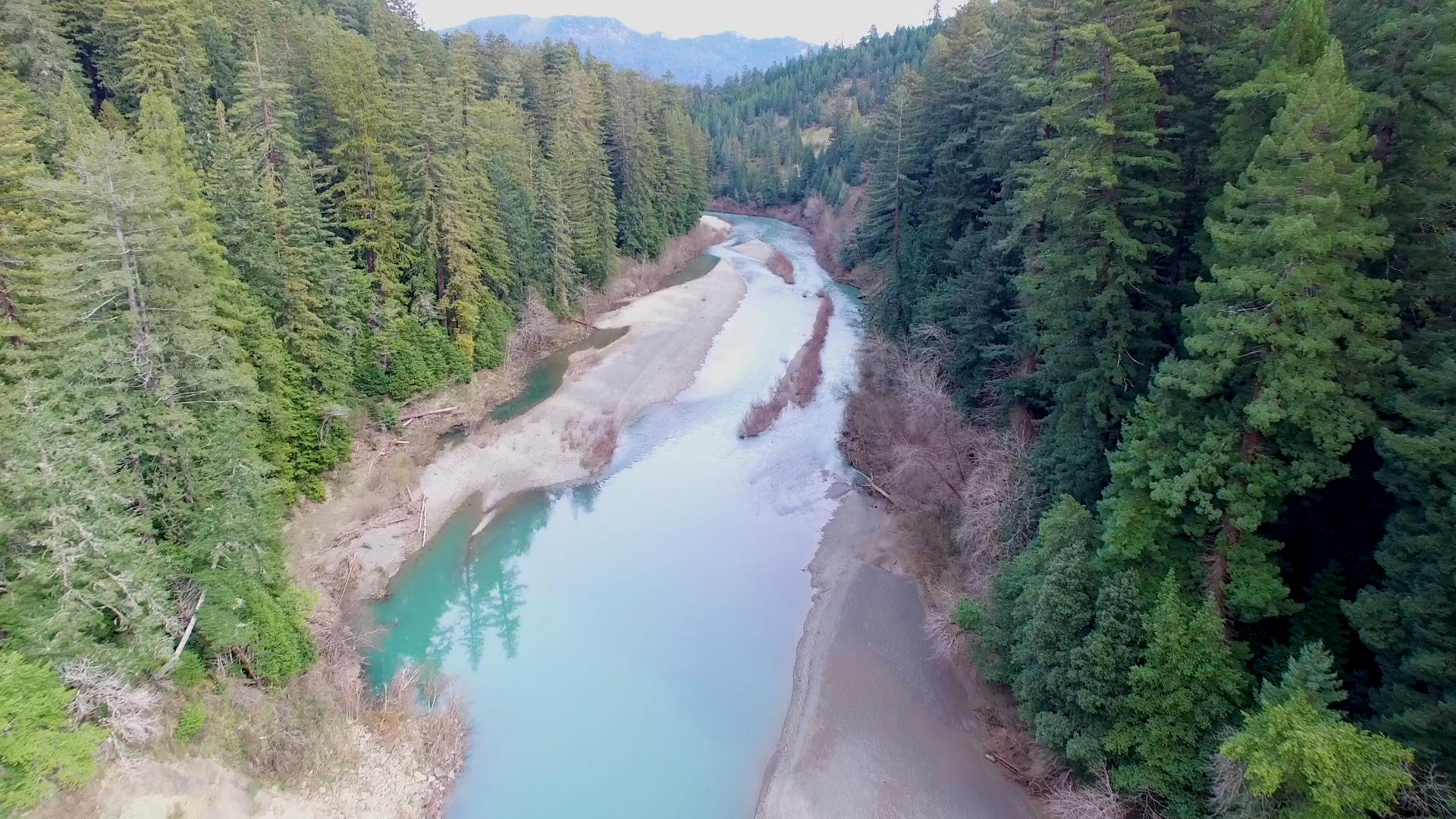 Eel River Watershed Program | California Trout